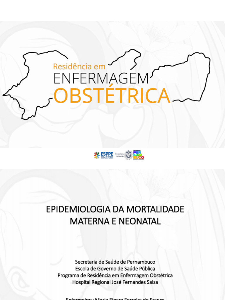 Epidemiologia Mortalidade Materna e Neonatal | PDF | Taxa de ...