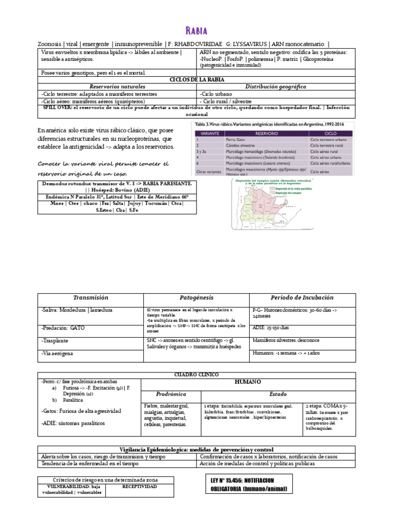 Rabia | PDF | Rabia | Virus