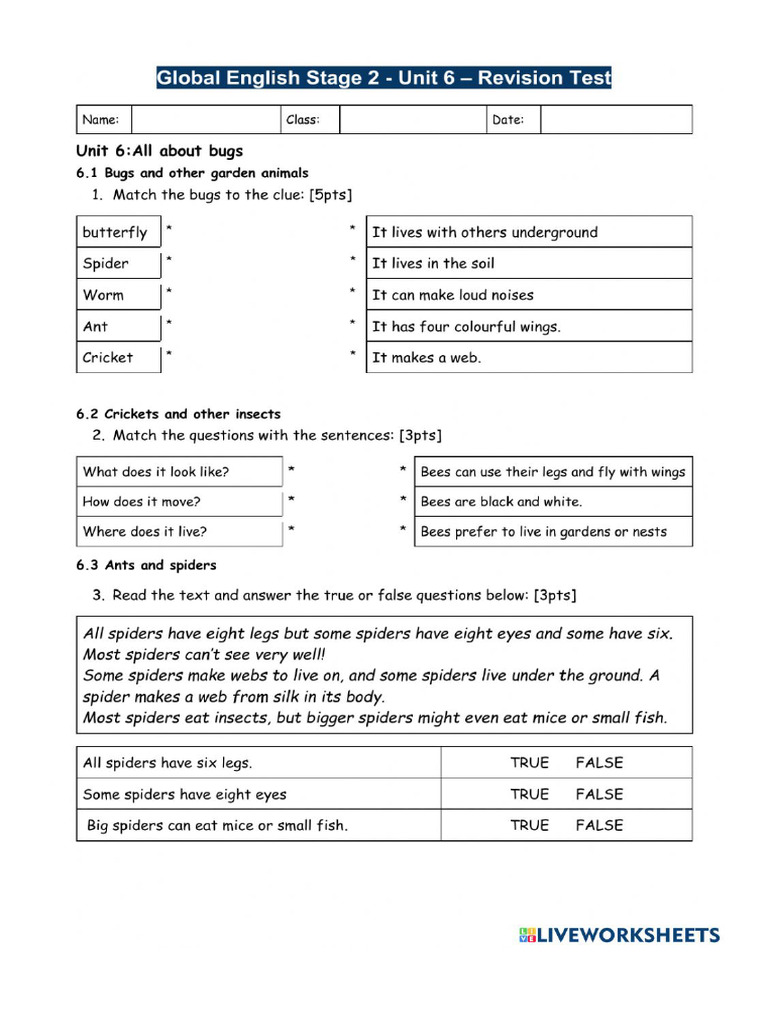 Unit 6 Revision Test | PDF