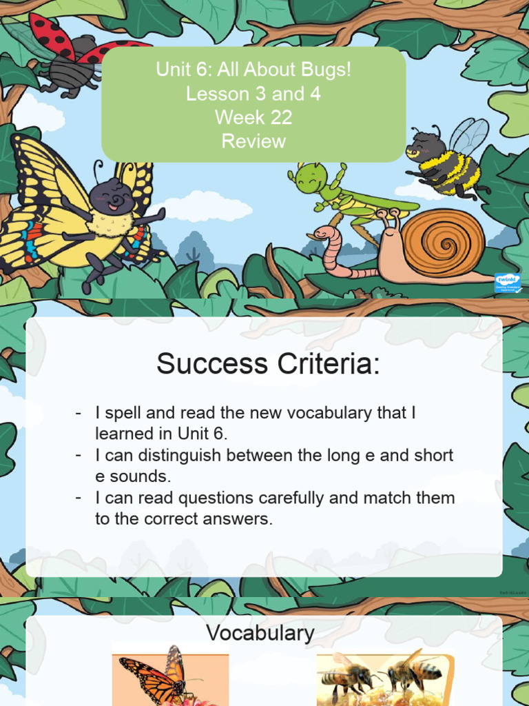 Lesson 5&6 Unit Review-1 | PDF | Insects | Spider