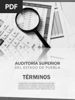 Términos de Referencia Auditorías 2023 | PDF | Auditoría | Contabilidad
