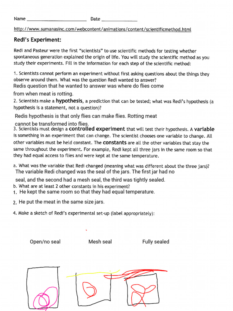 Kami Export - Kaleb Lewis - Redi's Experiment | PDF