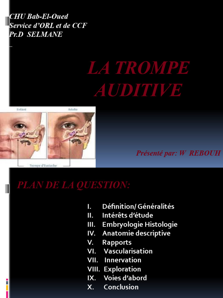 Anatomie et Fonction de la Trompe Auditive | PDF | Anatomie | Tête et ...