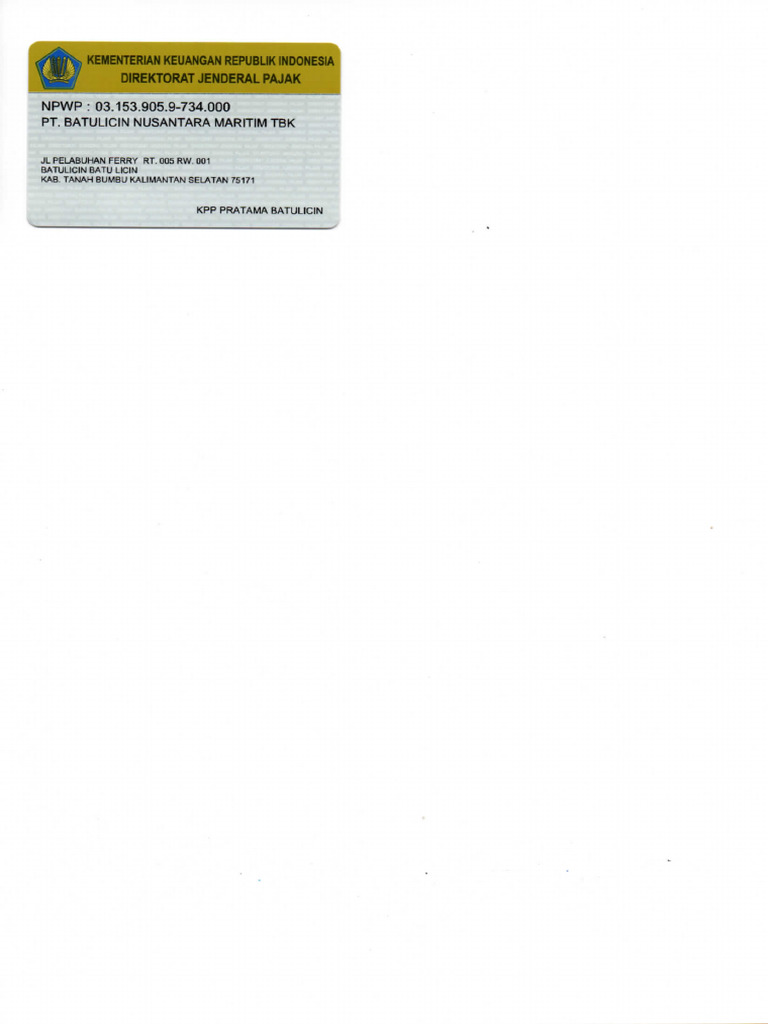 NPWP PT BNM TBK | PDF