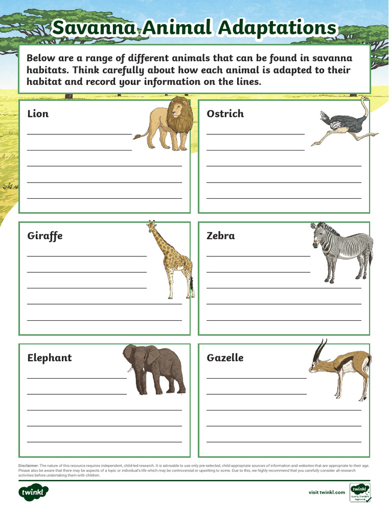 t Sc 1675933027 Savanna Animal Adaptations Activity Sheet Ver 1 | PDF