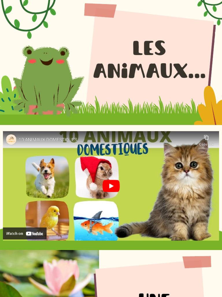Revoir Les Animaux | PDF | Poésie