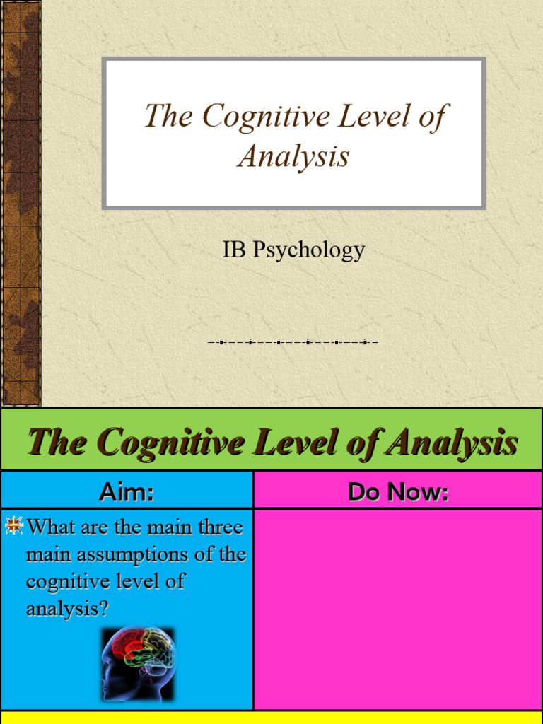 Cognitive Level Of Analysis Pdf Schema Psychology Memory