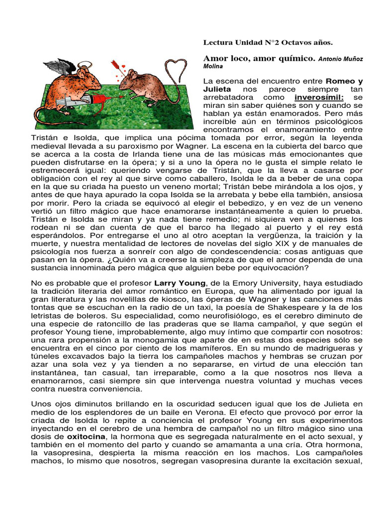 Amor Loco Amor Quimico | PDF | Amor