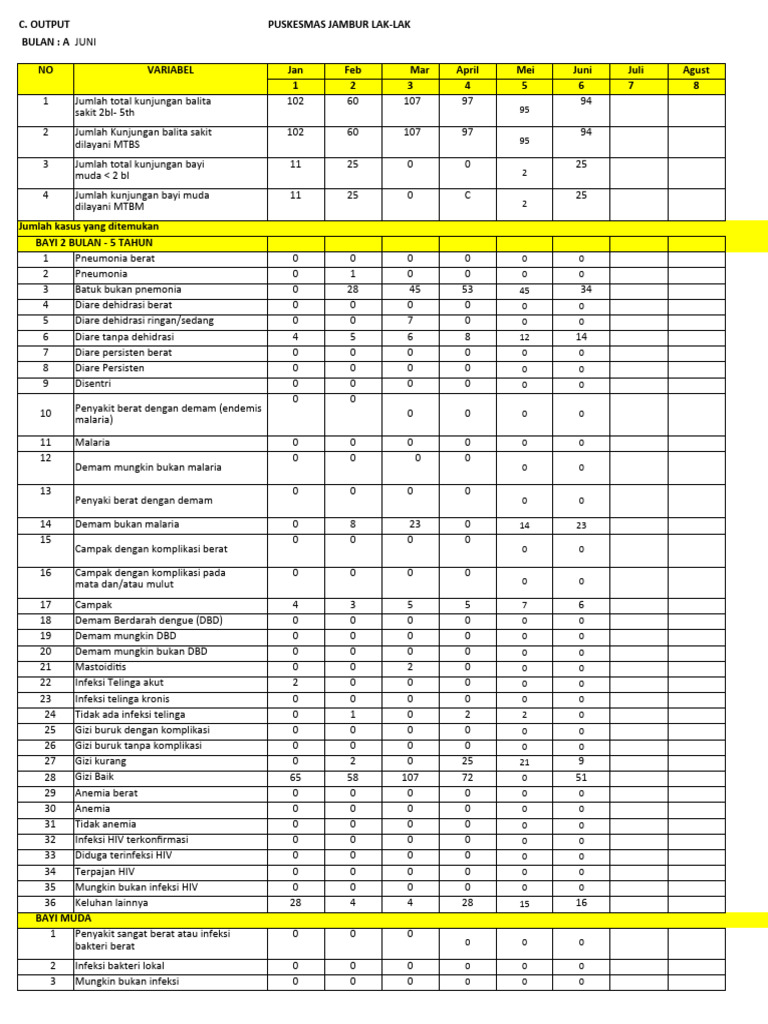 Laporan Mtbs Juni 2024 | PDF