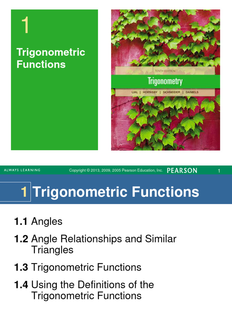 Trigonometric Functions | PDF | Triangle | Angle
