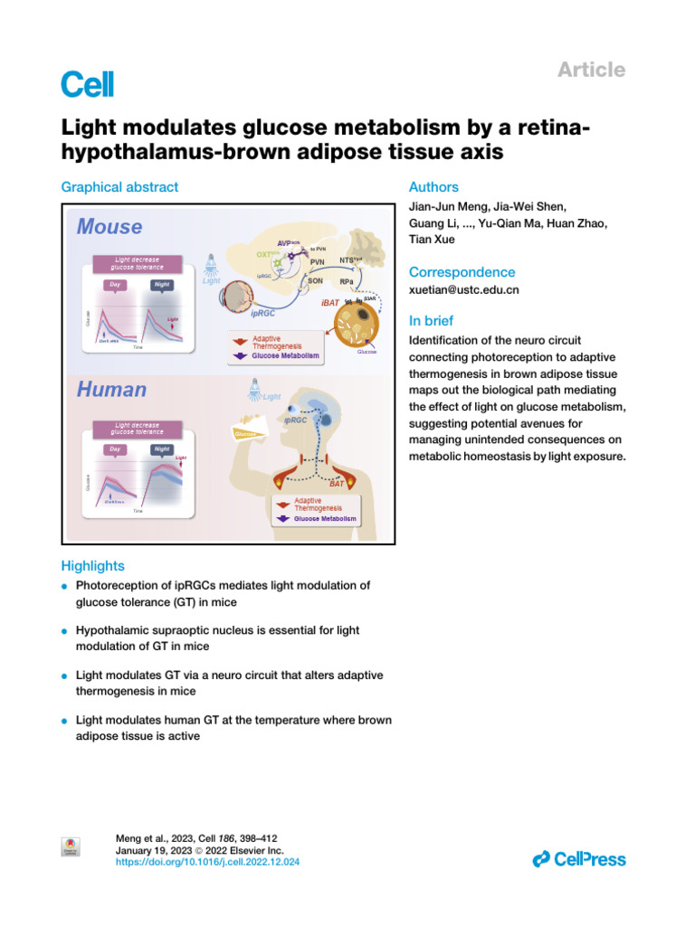 Light Modulates Glucose Metabolism by a Retina-hypothalamus-brown ...