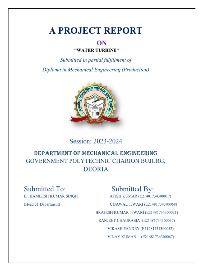 Project Report Formate | PDF