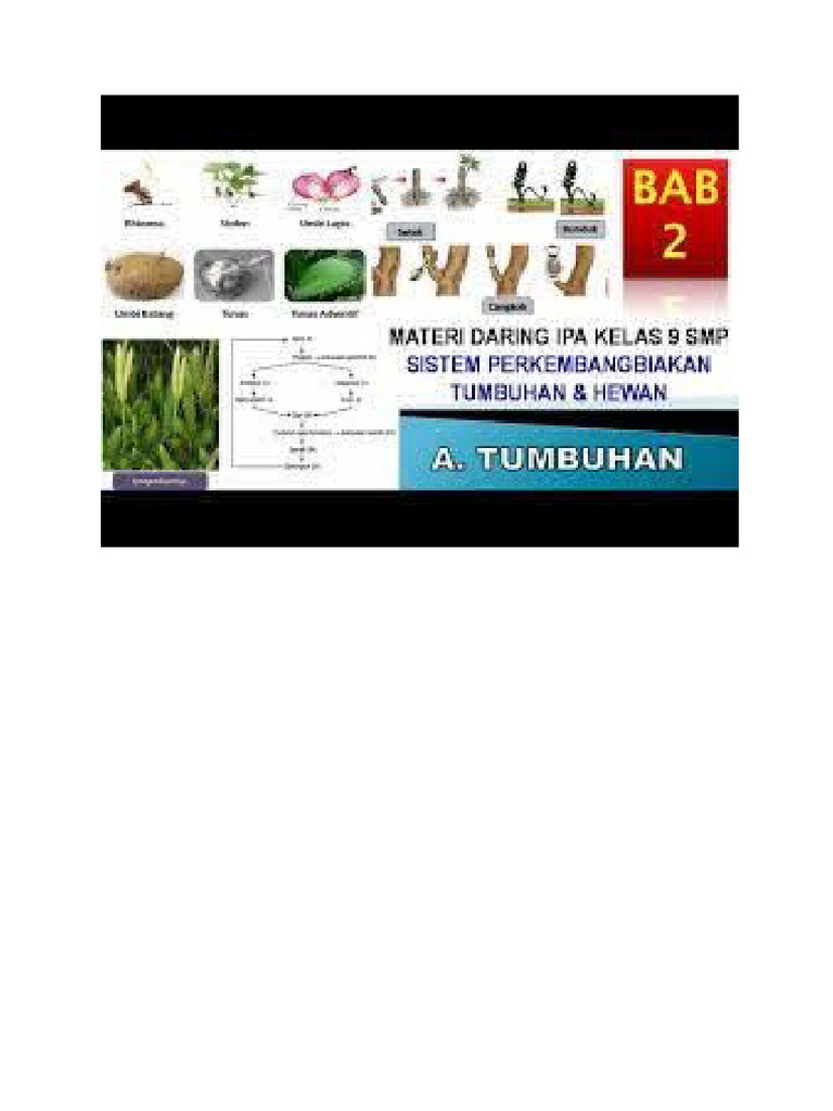 Sistem Perkembang Biakan Tumbuhan & Hewan | PDF