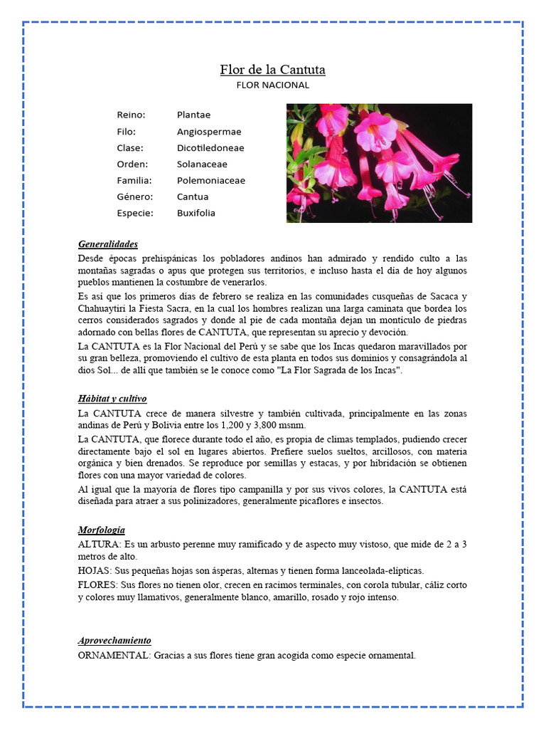Flor de La Cantuta Flor Del Inca | PDF | Zoología