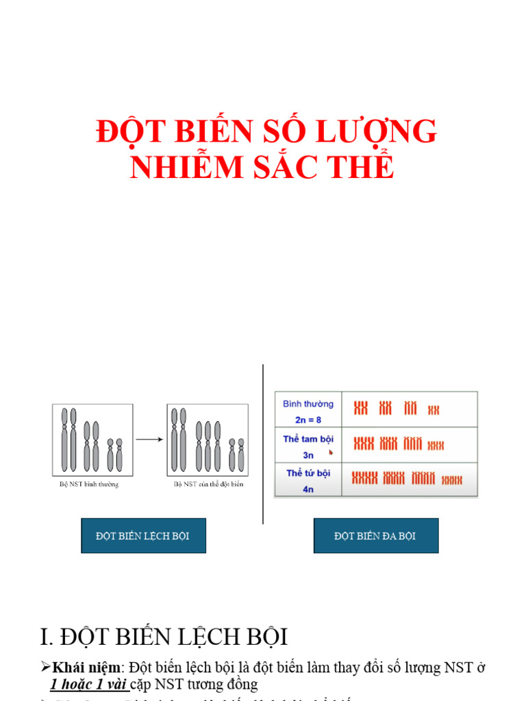 ĐỘT BIẾN SỐ LƯỢNG NST | PDF