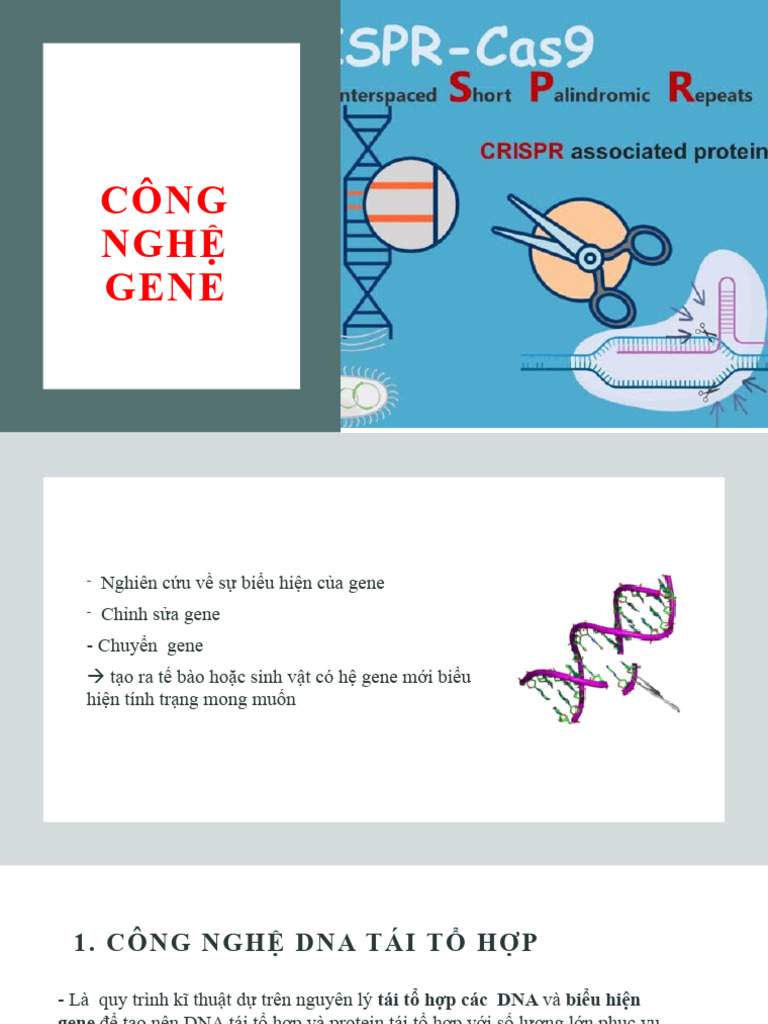 Công Nghệ Gene | PDF
