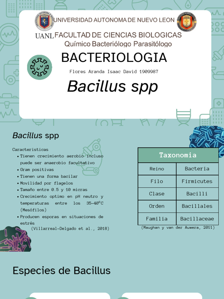 Características y Tratamientos de Bacillus spp. | PDF | Bacilo | Ántrax