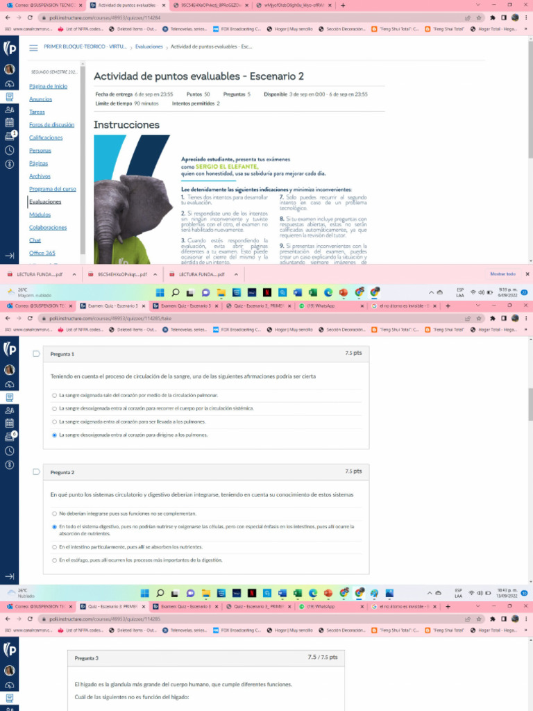 Evaluación 1er Quiz - 13-9-22 | PDF