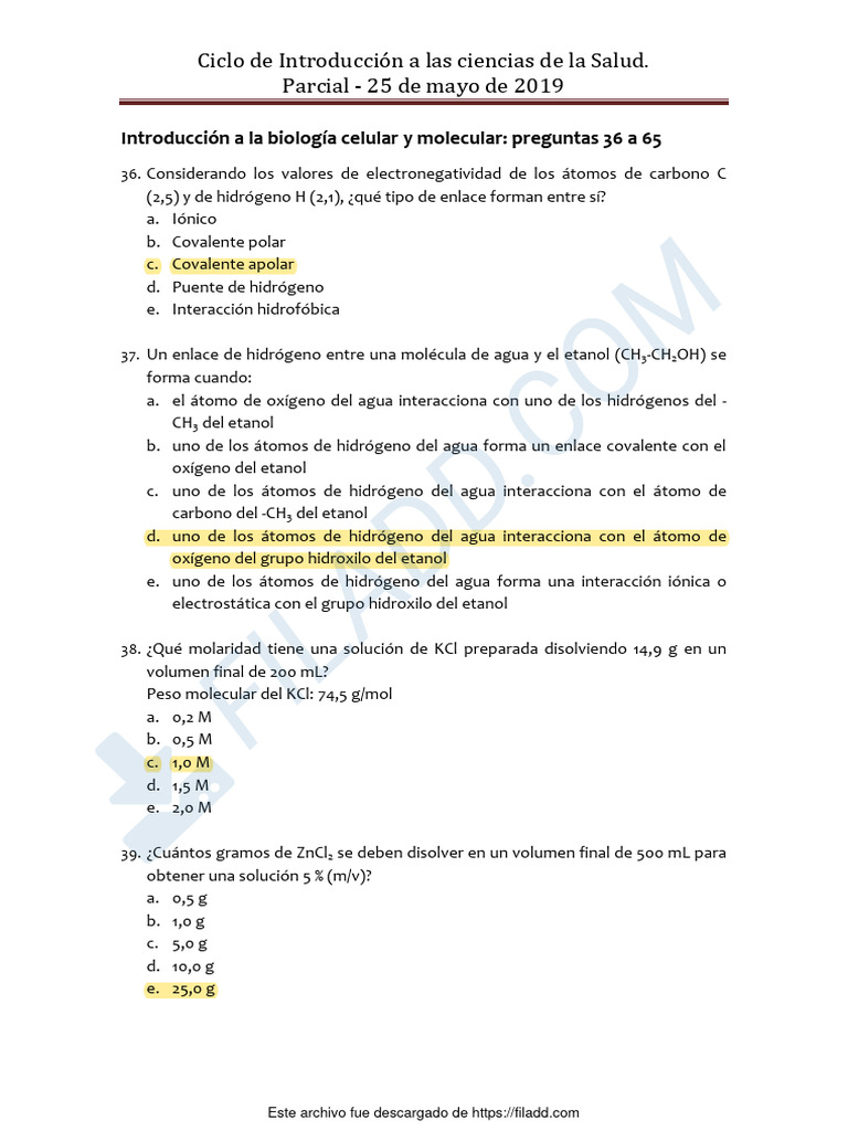 Primer Parcial Ibcm 20190500 1 | PDF | Aminoácidos | Péptido