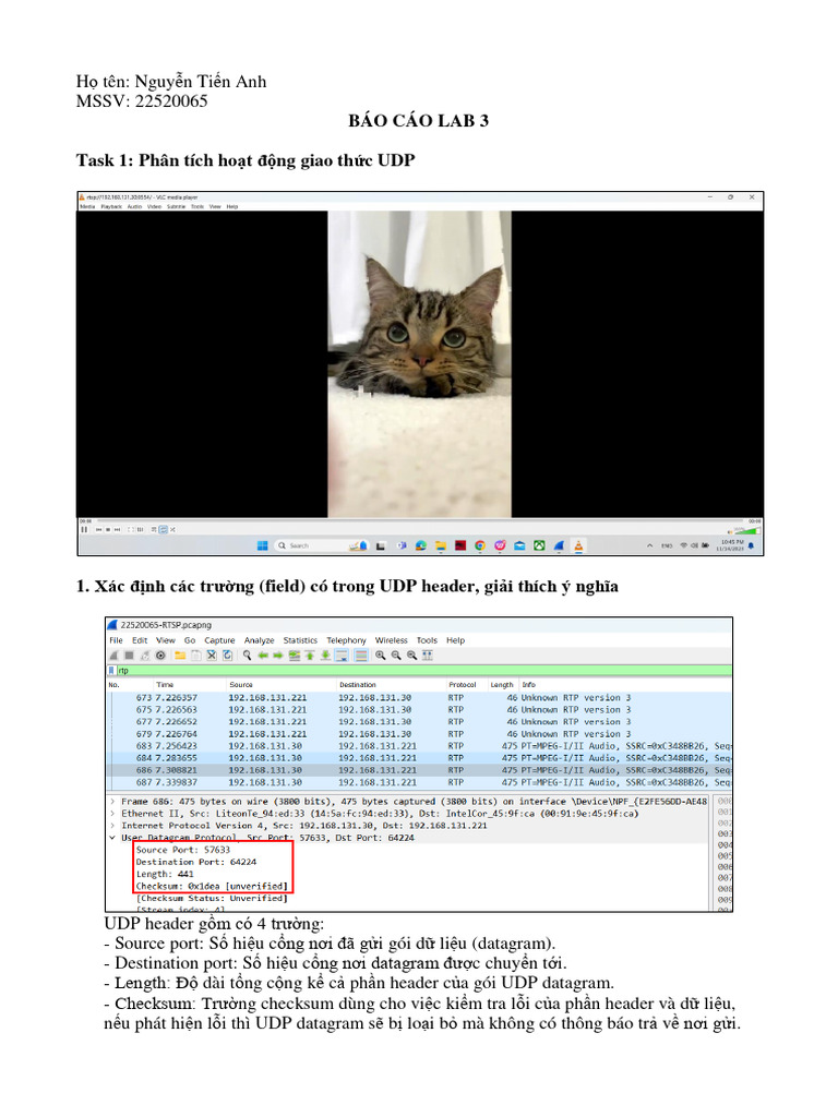 NguyenTienAnh Lab3 | PDF