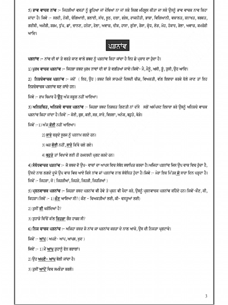 SAMPLE-Punjabi Grammar notes+MCQs | PDF