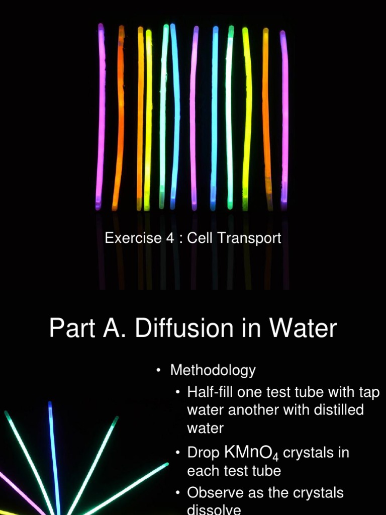 Cell Transport Experiment Overview | PDF