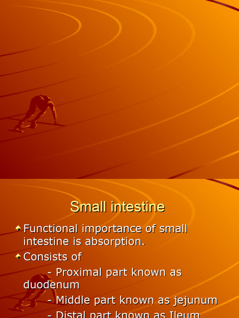 Git 2 | PDF | Esophagus | Digestion