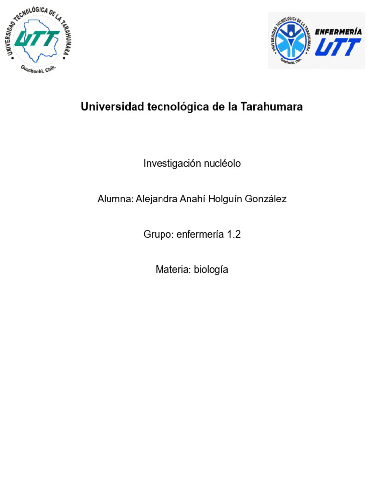 Nucleolo | PDF | Nucleo celular | Biología Celular)