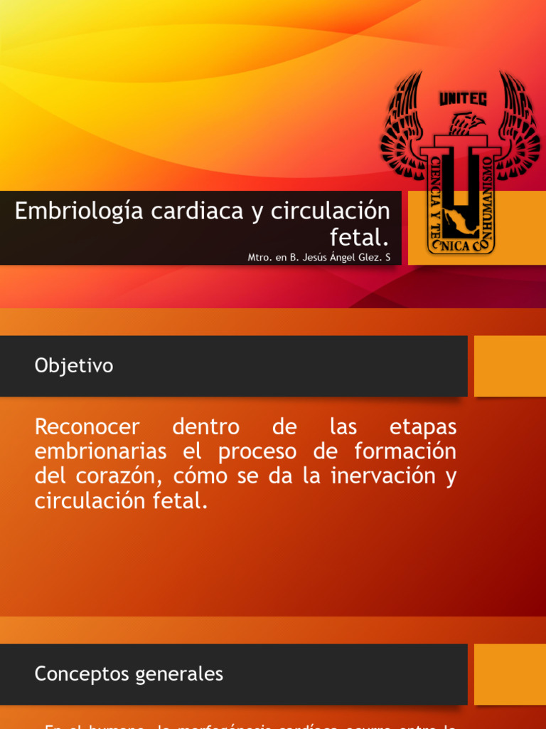 embriologia cardiaca 22-3 | PDF | Corazón | Feto