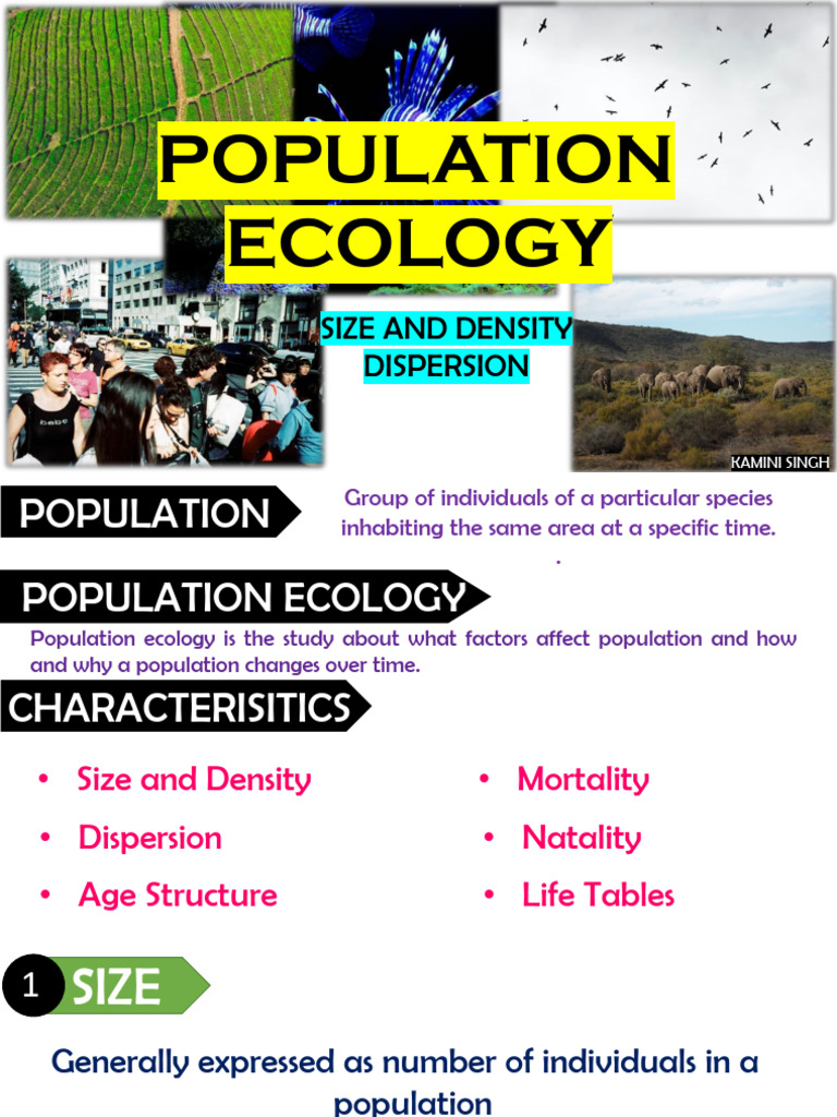 Population Ecology: Size, Density, and Growth | PDF | Ecology ...