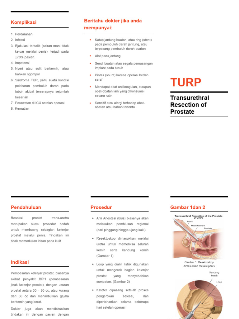 Booklet TURP Baru | PDF