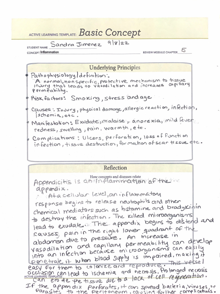 Inflammation Appendicitis Concept and Reference | PDF