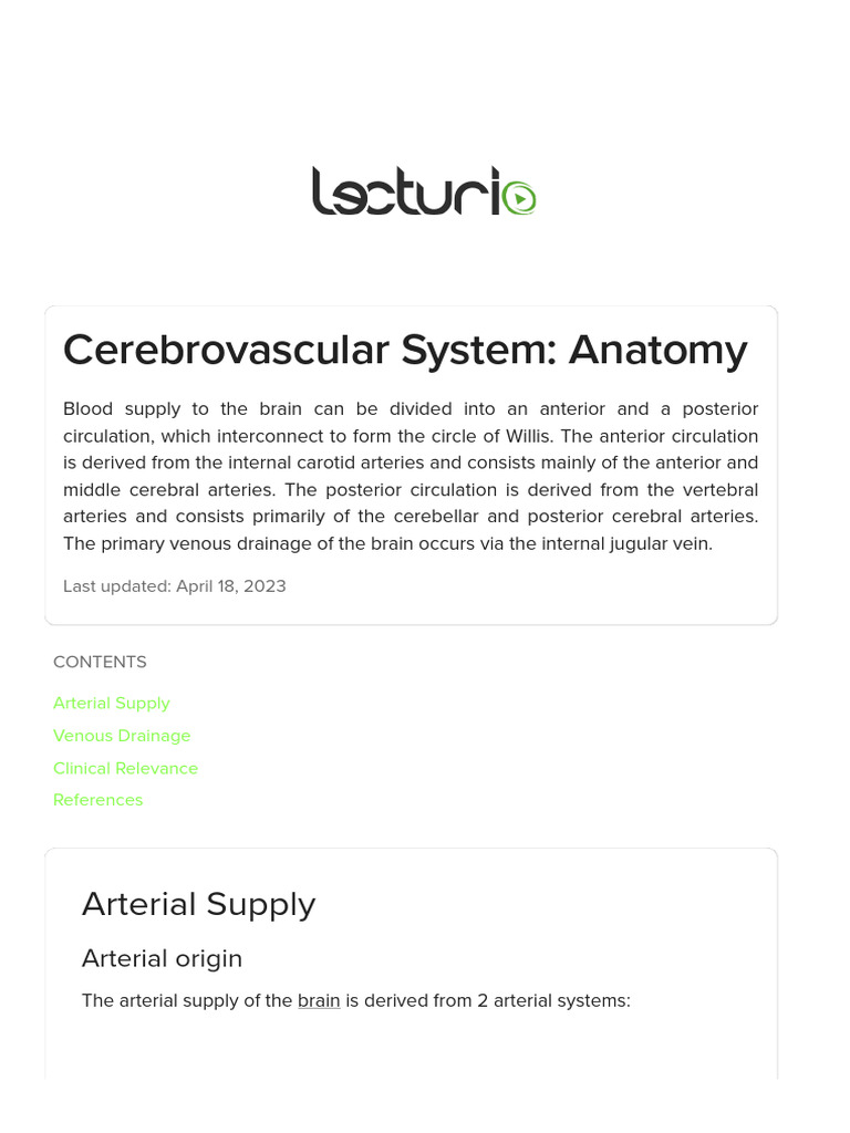 Cerebrovascular Pdf Vein Stroke