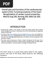 Cardiovascular System Powerpoint | PDF | Artery | Vein