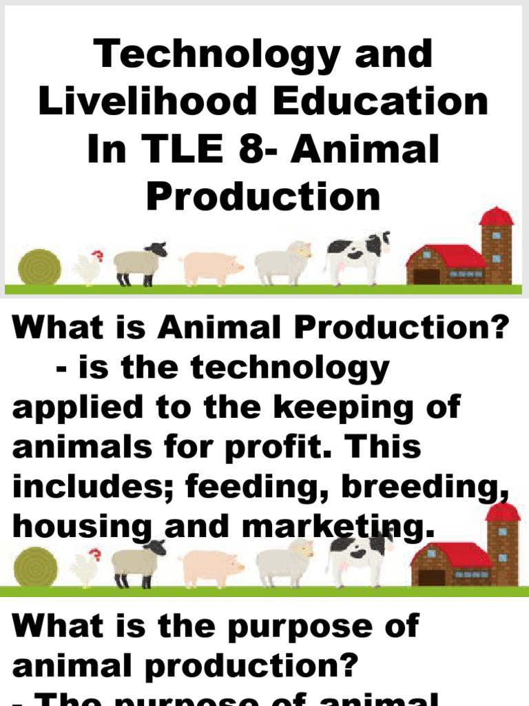 Overview of Animal Production Techniques | PDF | Pig | Chicken