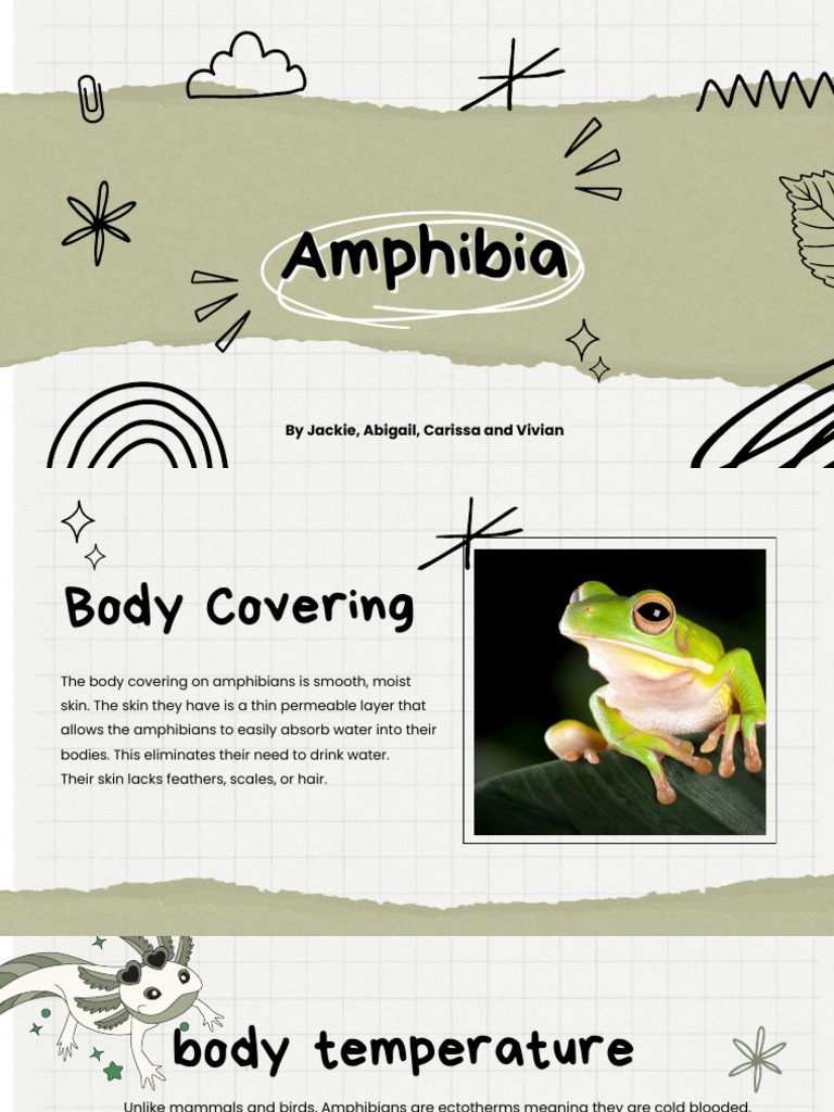Amphibia Presentation | PDF