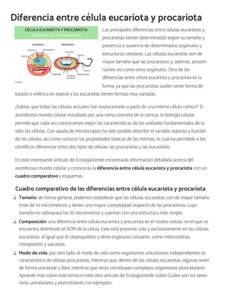 Diferencia Entre Célula Eucariota y Procariota - Cuadro Comparativo y Esquemas | PDF | Biología ...