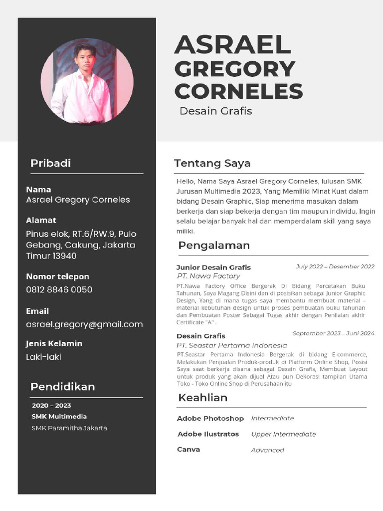 CV Dan Portofolio - Compressed | PDF