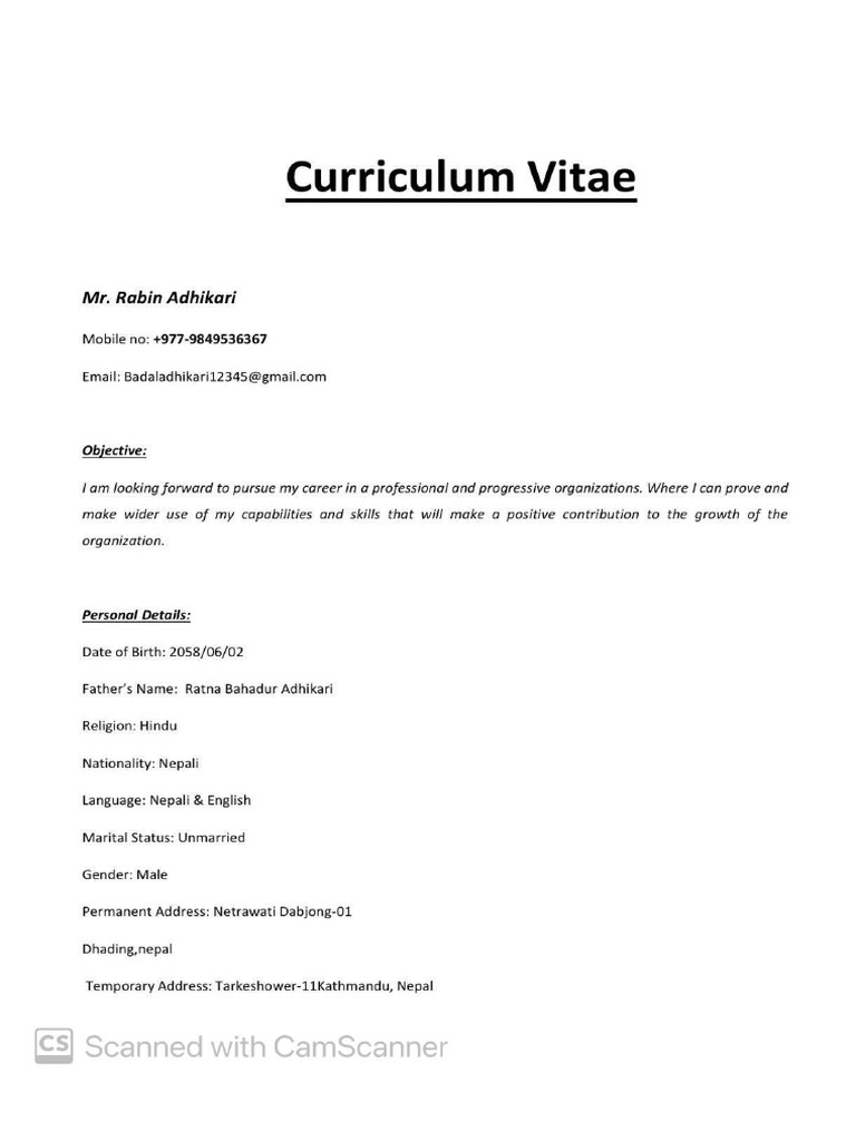 CV PDF | PDF