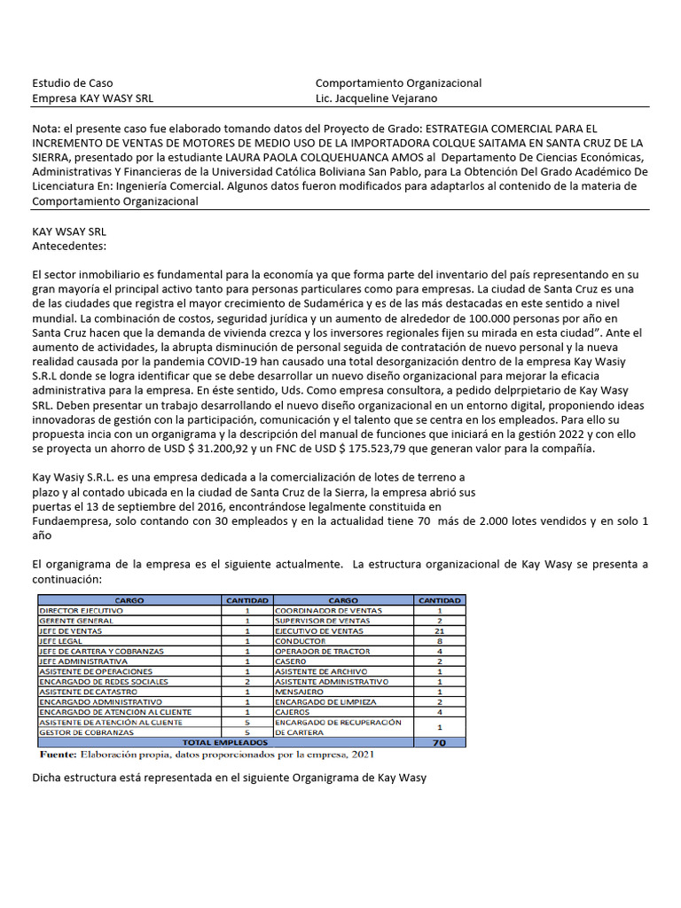 Caso Kay Wasy | PDF | Business | Economias