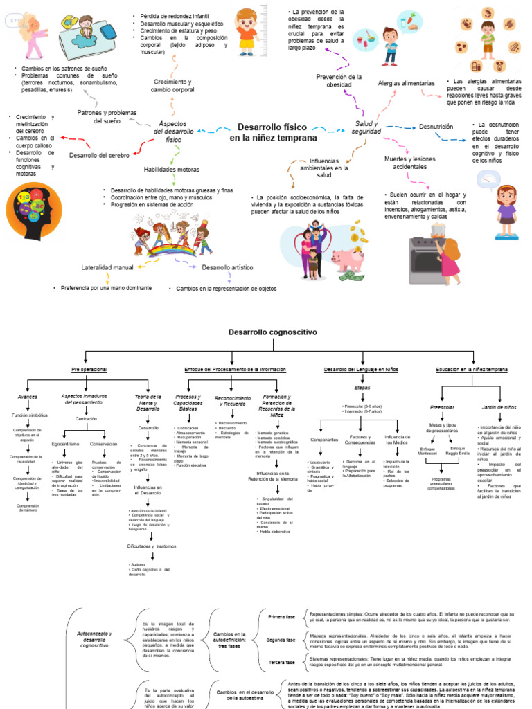 Desarrollo físico y cognitivo en la niñez | PDF | Memoria | Estudios de ...