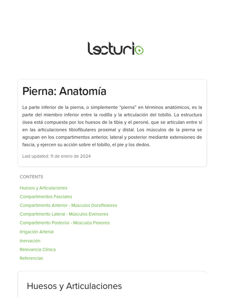 Pierna - Anatomía - Lecturiousuario | PDF | Anatomía humana | Anatomía