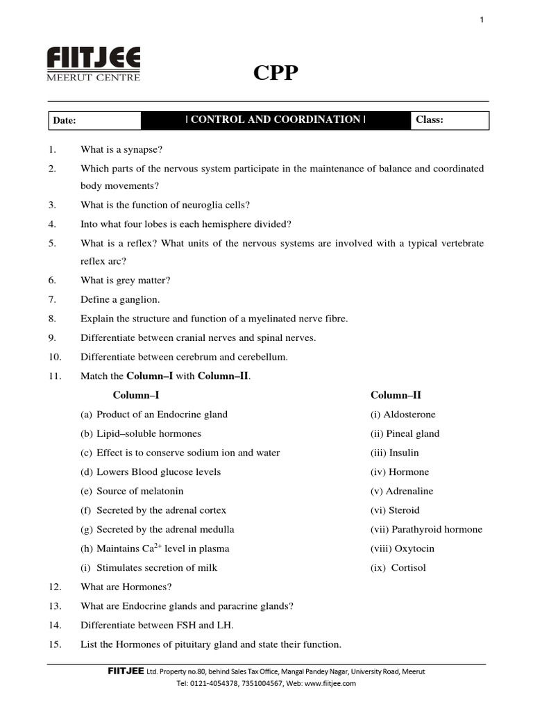 CPP-Control and Coordination - BSJ | PDF | Endocrine System | Adrenal Gland