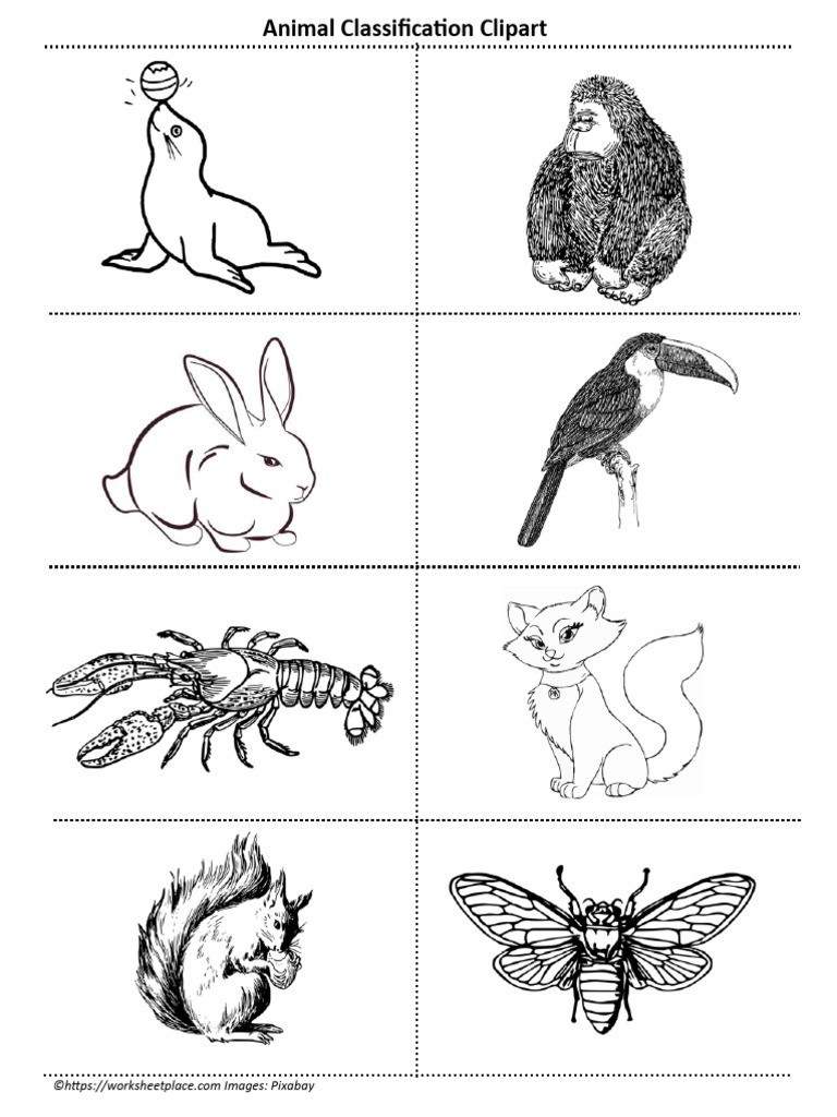 Animal Classification Clipart | PDF