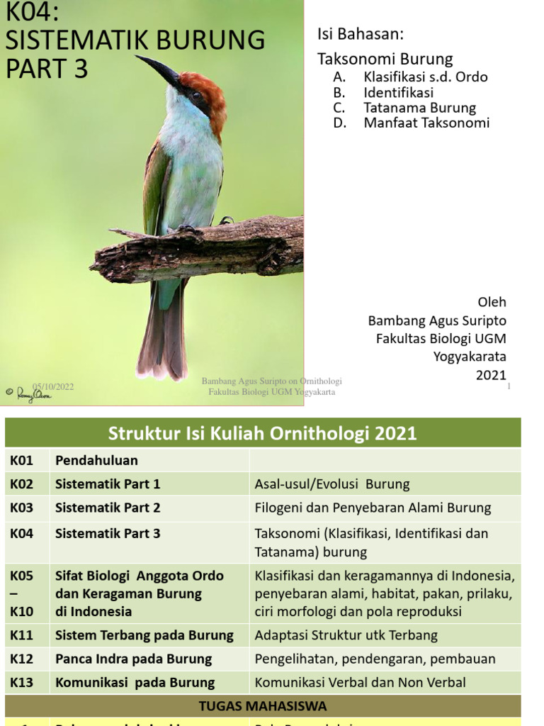 K04-Sistematik Burung Part 3.bas2021 | PDF
