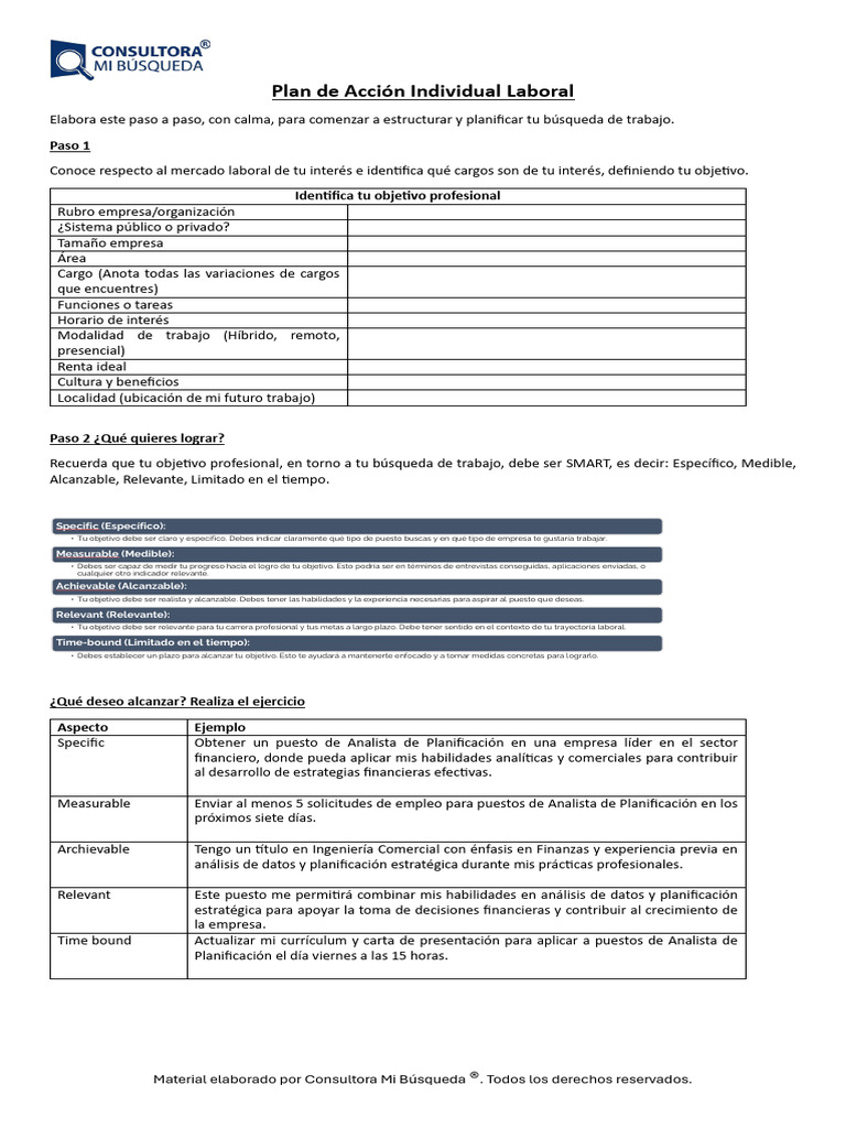 Plan de Acción Individual Laboral | PDF | Análisis FODA | Business