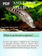 Kentucky Fish Species Guide | PDF | Fish | Aquatic Animals