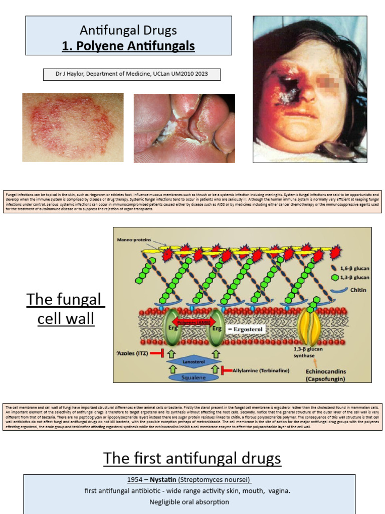 Antifungal Drugs Lecture 2023 | PDF | Candidiasis | Pharmacology