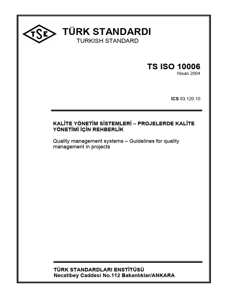 X - TS Iso 10006 | PDF