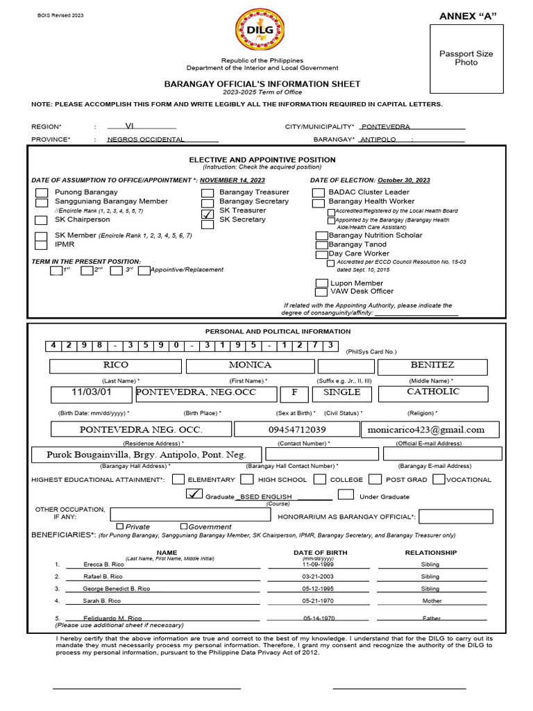 11.08.23-Annex-A-BOIS-Form-Revised-2023-1-1 - NICA | PDF